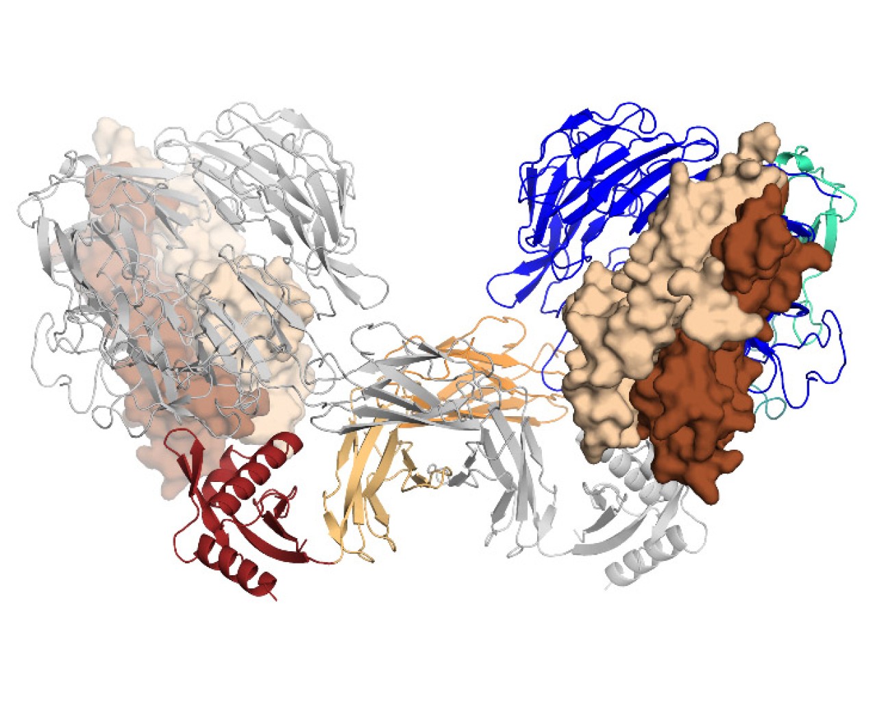 Dutch Structural Biology Platform - NVBMB